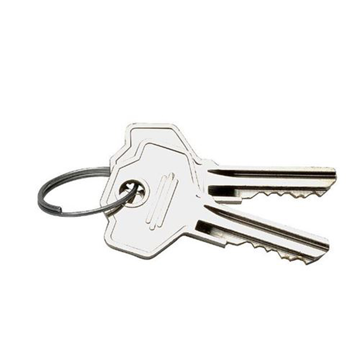 Replacement Keys for Switch for Electrical Interlock Panels – Chute Doctor